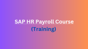 دورة SAP Payroll - دورات تدريبة أونلاين لإحتراف برامج ساب | SAP ERP Training